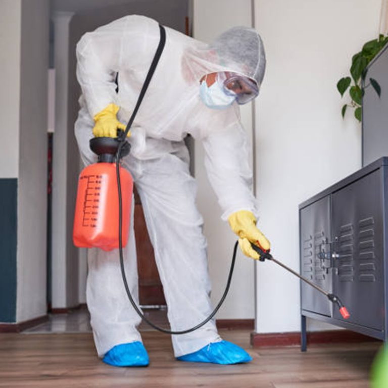 Pest Removal Services | Residential Pest Cleanup & Removal in Edmonton